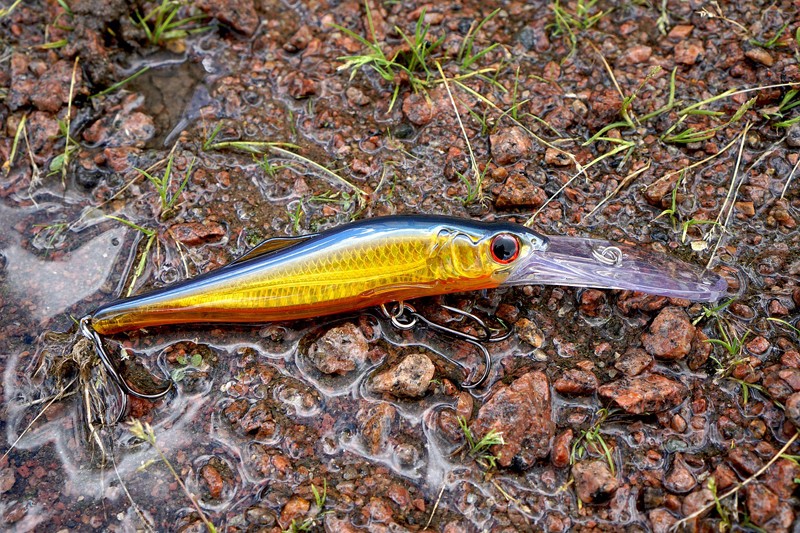 Tajemství woblerů | Rybaření.cz